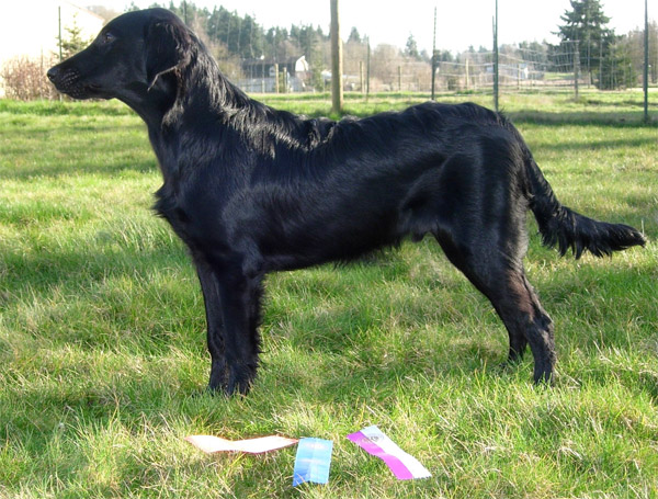 Flashback's Paint It Black - Mick